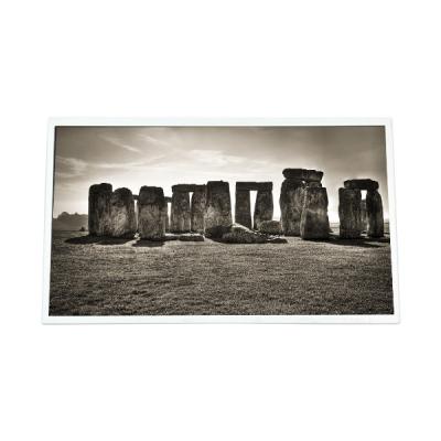 China 19.5 pulgadas G200HJJ-L01 1920*1080 450 cd/m2 Pantalla LCD para el sector industrial en venta