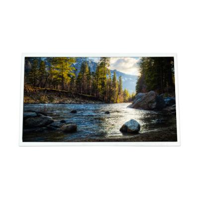 China LS080HT111 800 * 600 8.0 pulgadas 262K pantalla LCD para el marco de la foto digital en venta