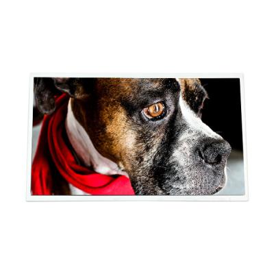 China M170EGE-L20 Rev.C3 17.0 pulgadas 1280*1024 12S4PWLED Panel de pantalla LCD en venta