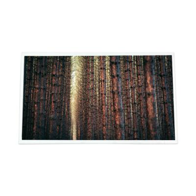 China 10.1 pulgadas ZD101IA-011 1280*800 Monitor de pantalla LCD LVDS táctil en venta