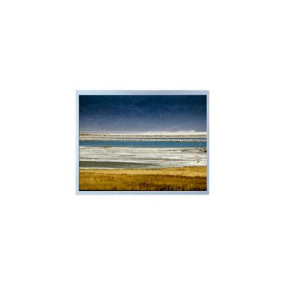 Китай 640*480 6,5 дюйма G065VN02 V0 WLED ЖК-экран для промышленности продается