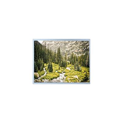 Китай 1280*800 10,1 дюйма G101EAN02.A WLED 1000 cd/m2 ЖК-дисплей продается