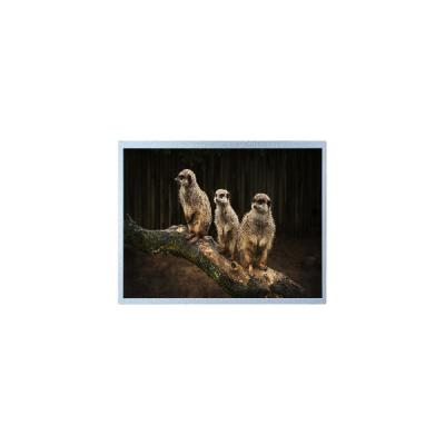 China PD121XL2 1024*768 Pantalla LCD de 12,1 pulgadas para exteriores de alto brillo en venta