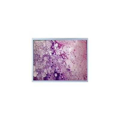 China 12.1 pulgadas PD121XL6 1024*768 pantalla LCD táctil de 60 Hz en venta