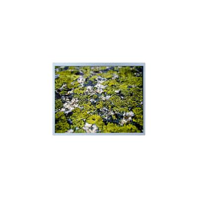 China 1024*768 12.1 pulgadas PD121XL9 4S6P WLED 60Hz Pantalla LCD en venta