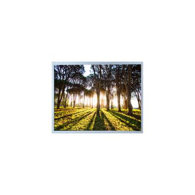 China Venta caliente 800*480 PM100WX2 Pantalla LCD de 10,0 pulgadas para industriales en venta