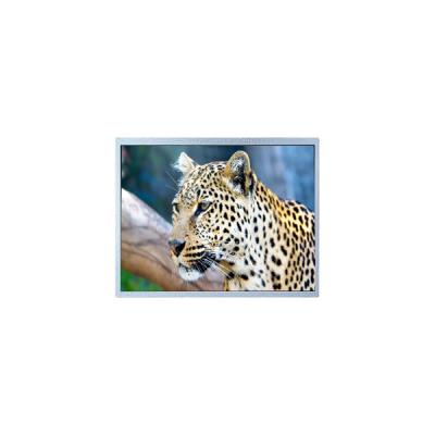 China Pantalla LCD para fotograma digital de 400*234 6,5 pulgadas PW065XS4 en venta