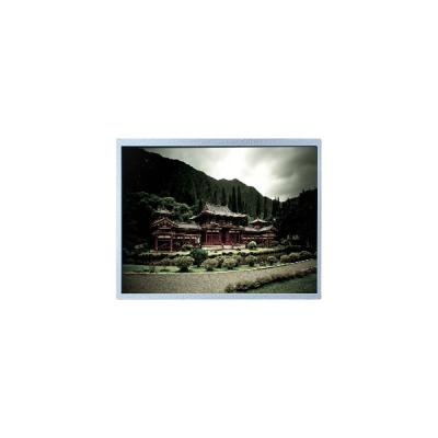 China 6.4 pulgadas V16C6448AF 640*480 262K Pantalla LCD en venta