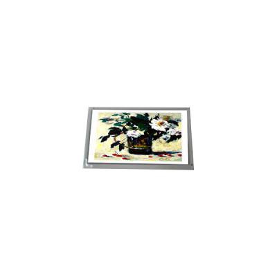 China 7.0 inch AM-1024600ETMQW-00 TFT LCD Module FOR Digital Photo Frame for sale