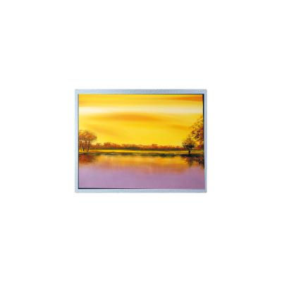China 1024*768 AM-1024768J2TZQW-T00H 8,0 Zoll TFT PCAP LCD Bildschirm Teile zu verkaufen