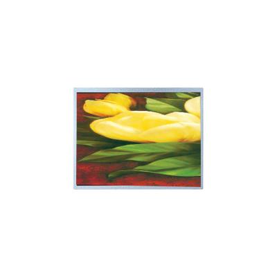 China Hot Sell 12,1 Zoll AM-1024768R2TNQW-T00H 1024*768 TFT LCD Bildschirm zu verkaufen