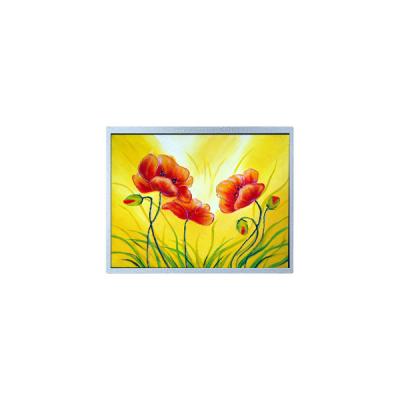 China AM-1280800W2TZQW-00H 10,1 polegadas tela LCD para exterior de alto brilho à venda