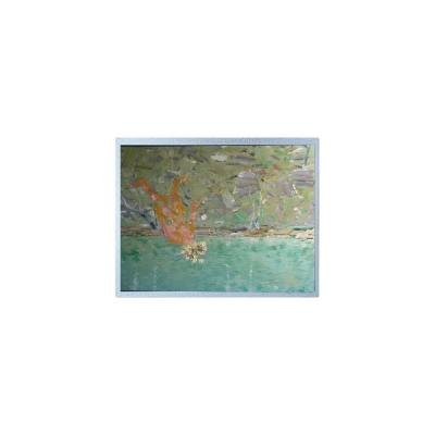 China nova 9,4 polegadas F-51430NFU-FW-AEN 640*480 15 pin LCD tela à venda