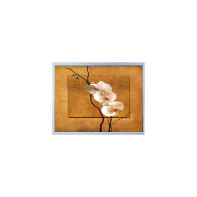 Cina 240*64 5,2 pollici F-51851GNFQJ-LY-ADN Display LCD a 85 Hz in vendita