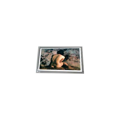 Cina 1024*768 12,1 pollici T-51756D121J-FW-A-AEN Modulo LCD 60Hz in vendita