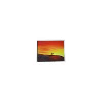 China 640*480 10,4 Zoll T-55320GD104J-FW-A-AAN 31 Pins LCD-Bildschirm zu verkaufen