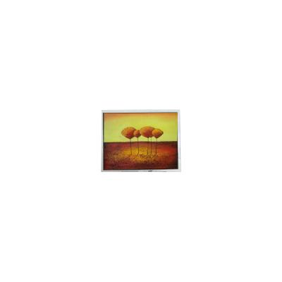 China T-55333GD104J-FW-A-AAN 640*480 Panel de pantalla LCD de 10 pulgadas y 60 Hz en venta