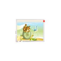 China warmverkoop 1280*800 10,1 inch TM101JVHP01 PCAP TFT-LCD-scherm Te koop