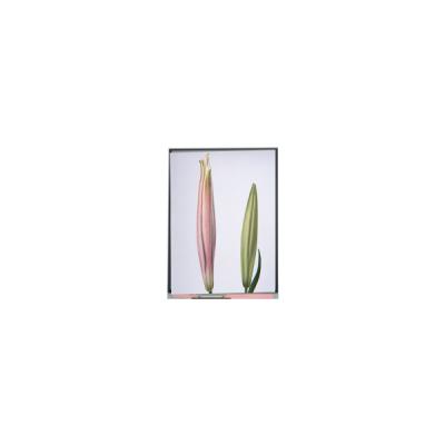 China C080SWW3-0 8,0 inch TFT LCD-scherm voor tablet Te koop