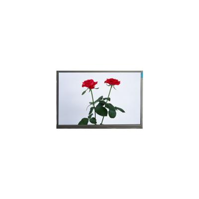 China G101GWWF R0 10,1 inch 60Hz TFT LCD-scherm lcd-paneel Te koop