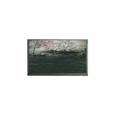 China P101GWN9 R0 10,1 inch 1024*600 262K 500:1 LCD-paneel Te koop