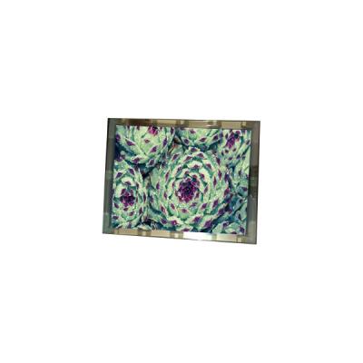 China 276*128 EL4836HB-ICE 6.3 polegadas 110 cd/m2 Painel de ecrã LCD à venda