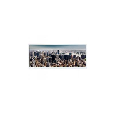 Cina JJ103IA-12A 10,3 pollici 50 pin WLED display LCD Modulo schermo in vendita