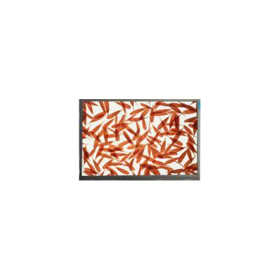 China M090AWA6 R1 1280*720 9.0 inch LCD screen for Outdoor High Brightness for sale