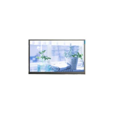 China N101ICE-G61 10.1 inch 1280*800 LCD screen for Pad Tablet for sale