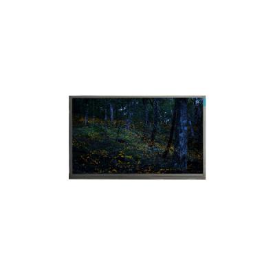 중국 오리지널 15.6 인치 N156BGE-P21 1366*768 40 핀 LCD 화면 판매용