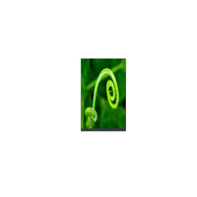 China Hot Sell 8.0 inch P080DCZ-3Z1 16.7M LCD Screen PANEL for sale