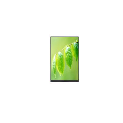 Cina P080DDD-AB4 Display LCD da 8,0 pollici 800*1280 350 cd/m2 in vendita