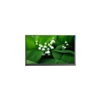 Cina Hot Sell 8.0 pollici P080LDN-DB4 1200*1920 290 cd/m2 Monitor LCD in vendita