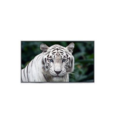 Chine B121EW05 V2 12,1 pouces nouvel arrivant écran LCD pour ordinateur portable à vendre