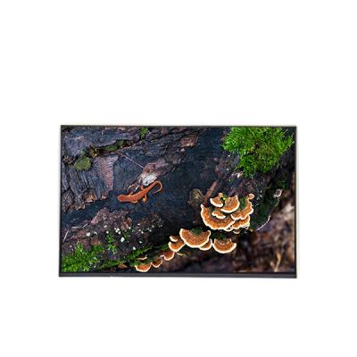 中国 B170PW07 V0 17.0インチLCDパネルの交換 ラップトップ画面 販売のため