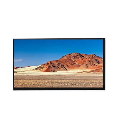 Cina G101UAN01.1 Display LCD da 10,1 pollici in vendita