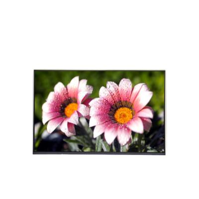 China M190PP01 V0 original 19.0 inch 1440*900 LCD Panel Screen for sale