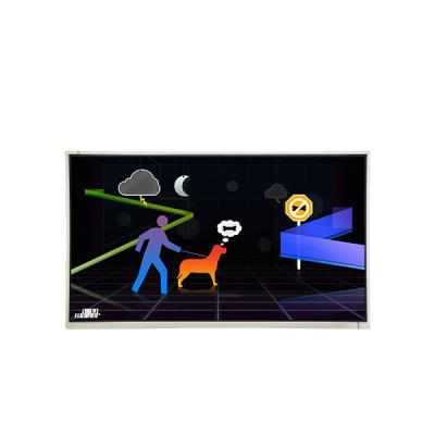 China M215HAN01.0 21.5 inch 1080p LCD display Screen for sale