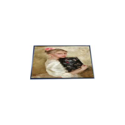China P290IAN01.0 28.6 inch 1920*540 LCD Screen Display Panel for sale
