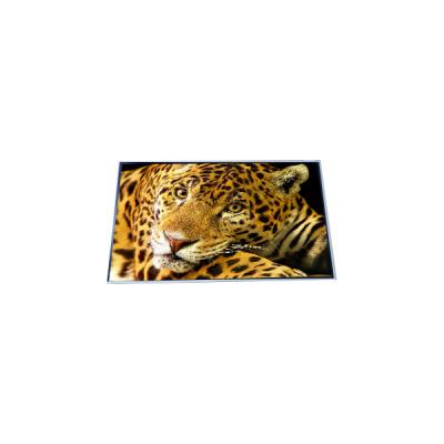 China P500QVF02.0 Pantalla LCD 4K de 50,0 pulgadas en venta