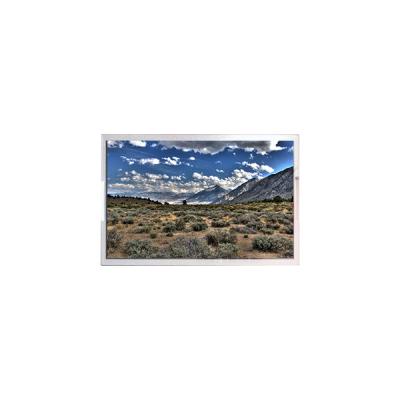 Cina M238DAN01.8 CELL Display LCD da 23,8 pollici 2K LCD Screen Module in vendita