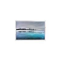 China EE0010A61.A 14.0 inch OLED Display For Laptop for sale