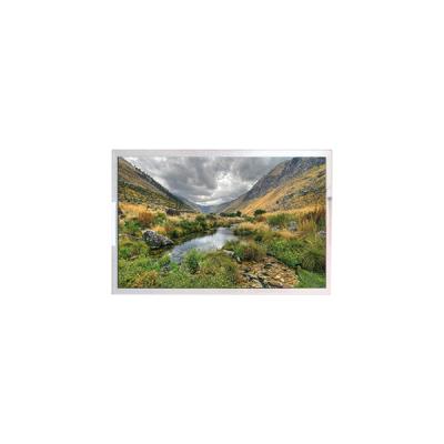 China LCD Screen 7.0 inch TCG070WVLEGENN-AN40 LCD Panel for sale