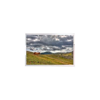 China LW270AHQ-ESG3 27.0 inch 2560*1440 OLED Screen Display for Gaming for sale