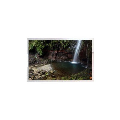 中国 NE160QDM-NX3 16.0インチ 2560*1600 LCD パネルスクリーン 販売のため