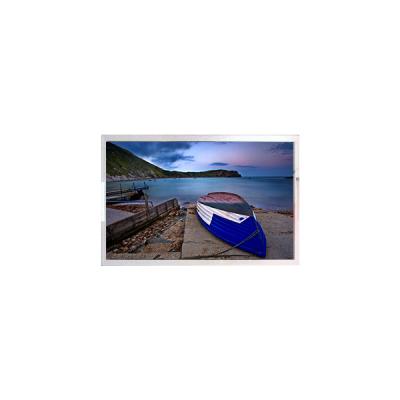 Cina M236HVR01.9 CELL 23,6 pollici 1080p schermo LCD in vendita