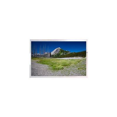 China P270QAN02.0 CELLA Pantalla LCD de 27.0 pulgadas para señalización digital en venta