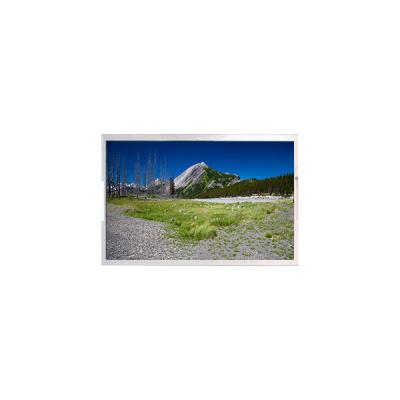 China MF270FHB-C00 27.0 inch 1920*1080 lcd screen panel display for sale