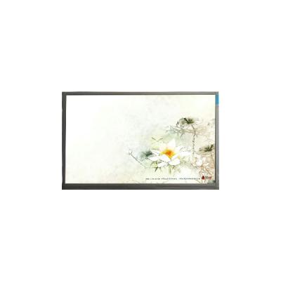 China M215HCA-LCZ 21.5 inch 1920*1080 LCD Screen Display Panel for sale