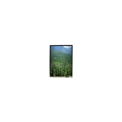 Cina LS055B3SX04Z 5.5 pollici 1920*3664 TFT LCD Screen Panel in vendita